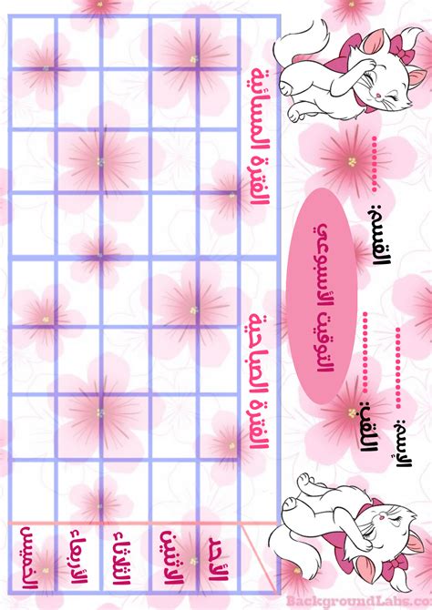 برنامج التوقيت لولوكاتي