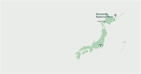 Sea Eagles And Hokkaido Winter Wildlife Tour National Parks Of Japan