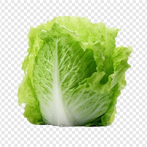 투명 한 배경 에 분리 된 빙산 무료 Psd 파일