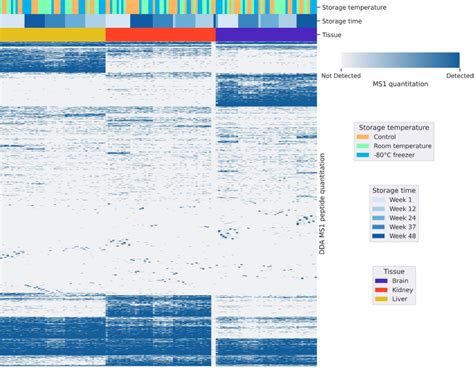 The Effect Of Storage Time And Temperature On The Proteomic Analysis Of Ffpe Tissue Sections Pmc