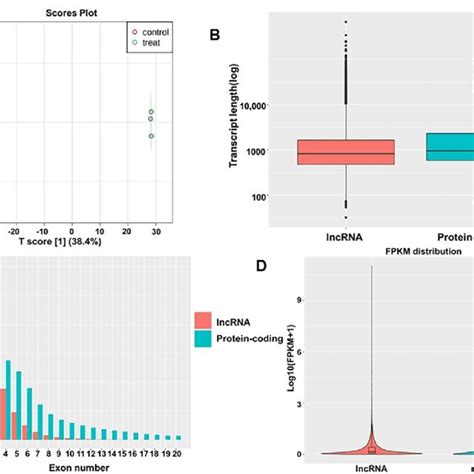 Identification Of Lncrnas And Comparison With Mrnas A Opls−da Of Download Scientific Diagram