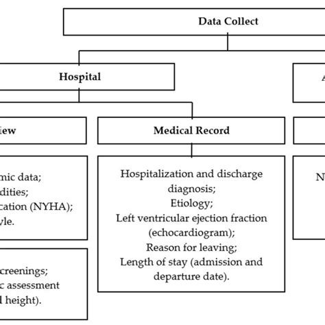 Description Of Data Collection Steps Download Scientific Diagram