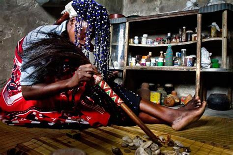 History And Health Benefits Of Bitter Leaf Bitterleafnhl On Tumblr