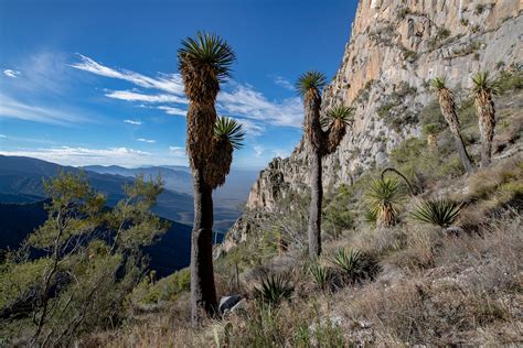 Surprise Discoveries In Mexico Cave May Double Time Of Peopling Of The