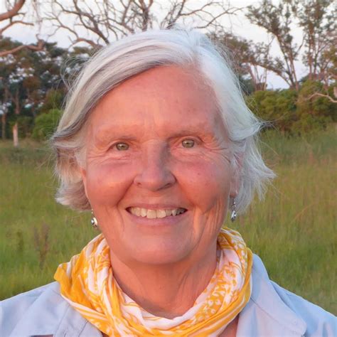 Nancy Jane School Of Lost Borders