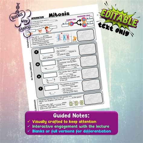 Mitosis Powerpoint Slideshow Guided Notes Study Guide Tpt