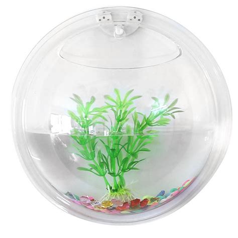 【楽天市場】壁掛け水槽 15cm 植木鉢 アクアリウム グリーンバスケット 植物 ぶら下げ 花瓶 水培養植物容器 観賞 寝室 リビング 魚 フィッシュ 観葉植物 クリア 透明：amor