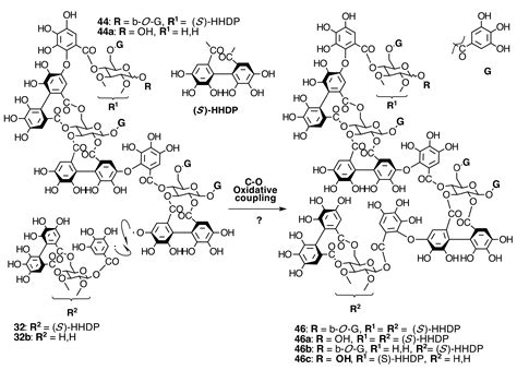 Phenolics And Polyphenolics From Melastomataceae Species