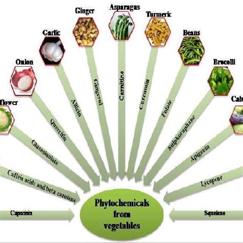Classification Of Phytochemicals Download Scientific Diagram