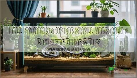 Ball Python Setup For Small Apartment Complete Guide And Tips