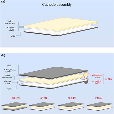 A Schematic Depiction Of Double Layered Cathode In Which Ptc