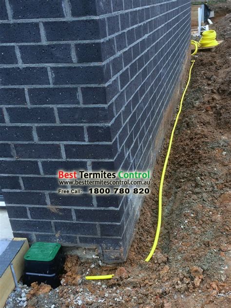 Termite Reticulation System Best Termites Control