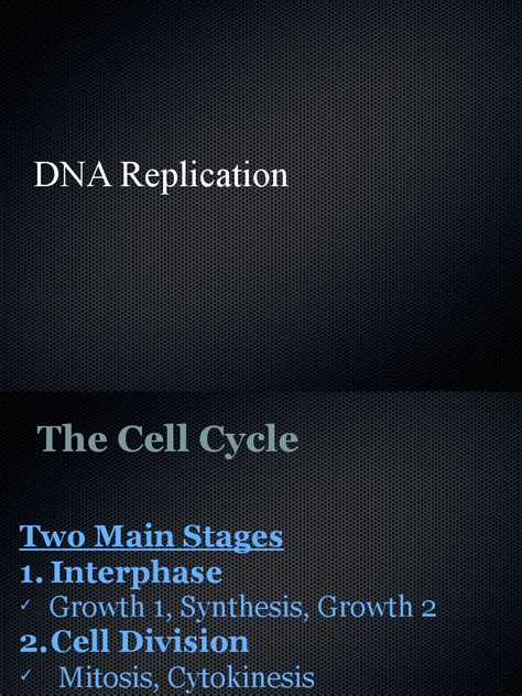 Dna Repilication Pdf Dna Replication Primer Molecular Biology