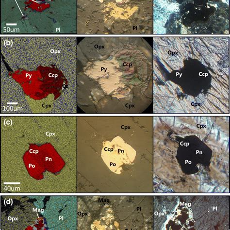 Electron Probe Microanalysis Energy Dispersive Spectroscopy Composition