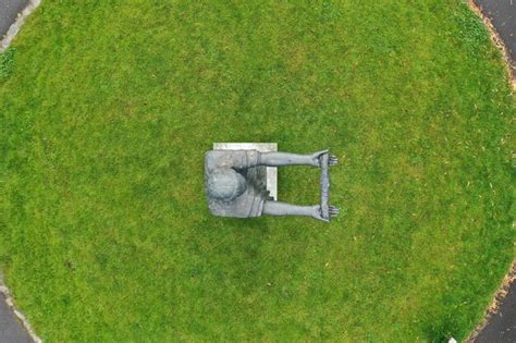 Premium Photo High Angle View Of Grass