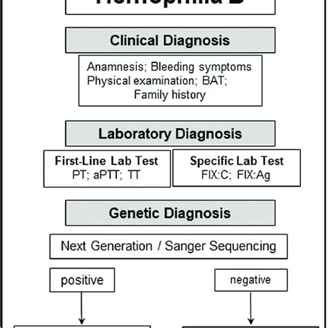 In Vivo Hemostasis Improvement By Saphenous Vein Bleeding Assay Sabv