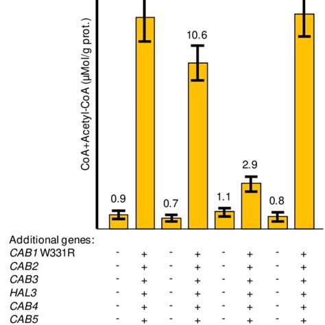 Errat Structural Quality Download Scientific Diagram
