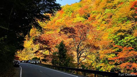 Blast 中古車 厳選車専門店 紅葉 ドライブスポット Blast｜輸入車・ミニバン・1box・軽自動車の中古車専門店 埼玉県春日部市 ブラスト
