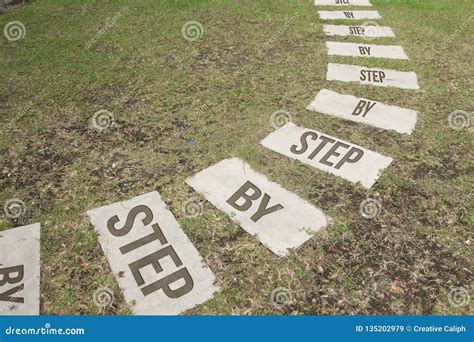 Walking Path On A Green Grass Stock Image Image Of Style Line 135202979