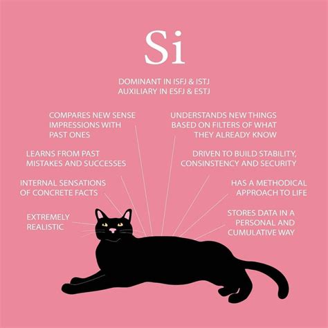 Mbti Cognitive Functions Artofit