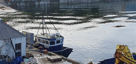 Patsy B Fr925 By Thenewmikefan21 On Deviantart