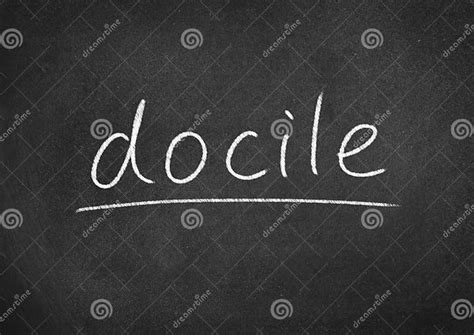 Docile Stock Image Image Of Docile Abstract Background 164350315
