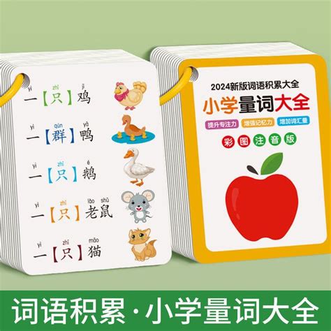 Primary School Students Quantifier Verb Adjective Card Learning Card