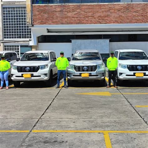 Está Prohibido Elevar Cometa Tener Una Ballena Como Mascota Y Pasear