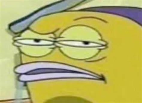 Nat Spongebob Squarepants Funny Memes Spongebob Funny Funny Spongebob Memes