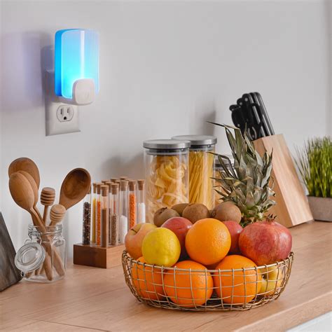 Raid Essentials Flying Insect Light Trap Starter Kit 1 Fly Trap Device