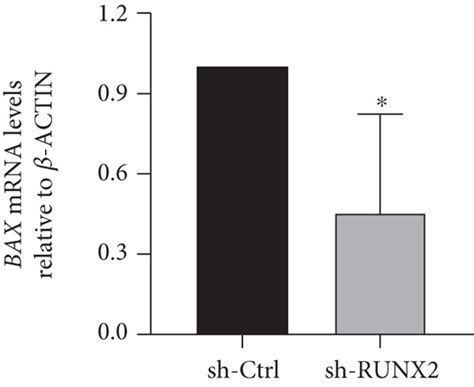 Knockdown Of RUNX And Proapoptotic Gene Expression Levels BAD And Download Scientific Diagram