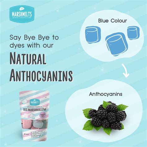 Assorted Fruit Veg Marshmallow Marshmelts Kandee Factory Online