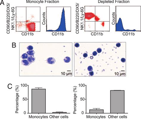 Monocyte Isolation A The Monocyte Fraction Left And The Depleted