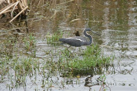 Use Python To Streamline Your Agisoft Metashape Workflow Part I By