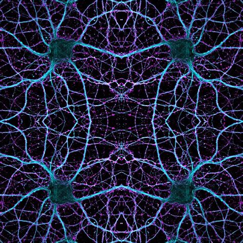 Brain Neuron Wallpapers Top Free Brain Neuron Backgrounds
