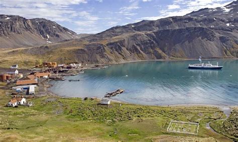 South Georgia Island Grytviken South Sandwich Islands Uk Cruise Port