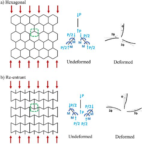 Deformation Of Individual Unit Cells Under Compressive Load A Download Scientific Diagram