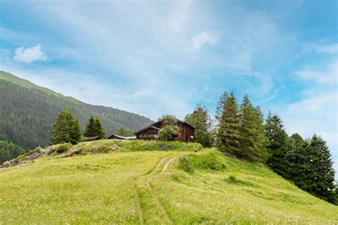 Galerie Jardin Alpin De La Linnaea