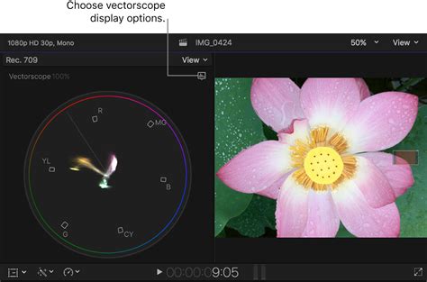 Vectorscope Display Options In Final Cut Pro For Mac Apple Support