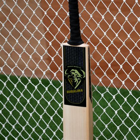 Buffalo Cricket Bubalina Cricket Bat Cricket Pavilion