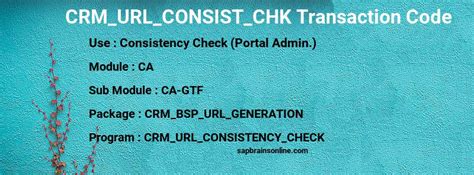 crm url consist chk sap tcode for consistency check portal admin