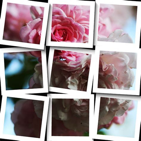 Android Için Mosaic Art Lab Apk İndir