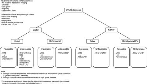 Utuc Treatment Algorithm Utuc Treatment Options By Site And Risk