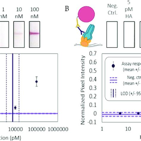 Illustrations Of The Novel Influenza Ha Assay Stacks Demonstrated