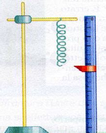 Estensione Di Una Molla Benvenuti Su Fisica1at