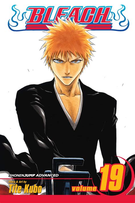 Bleach Manga Cover 55