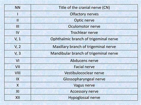 Midbrain Diencephalonpptx