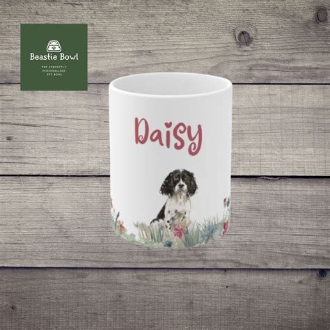 Teacup Cocker Spaniel For Sale Only 3 Left At 60