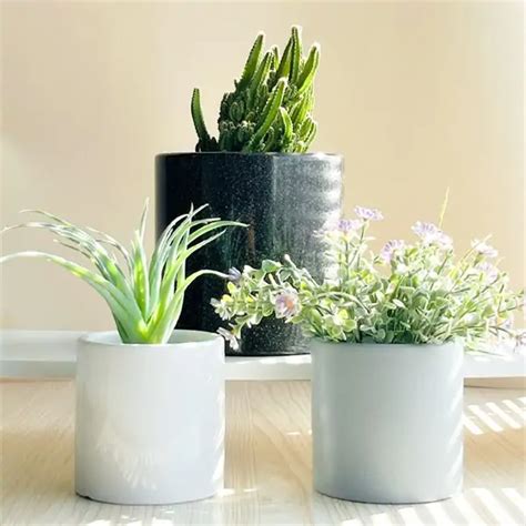 Customizable Color For Personalized Mini Ceramic Flower Pot