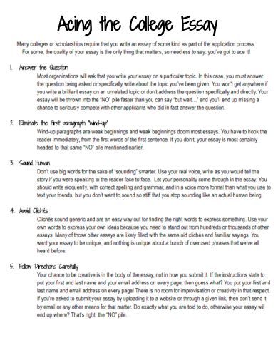 20 Collage Essay Examples To Download